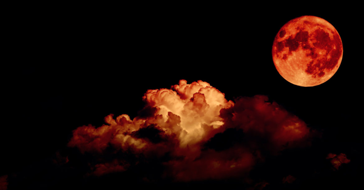Super Blood Wolf Moon 2019 - The Keeper of the Cheerios