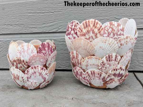 Seashell Terracotta Pots - The Keeper of the Cheerios