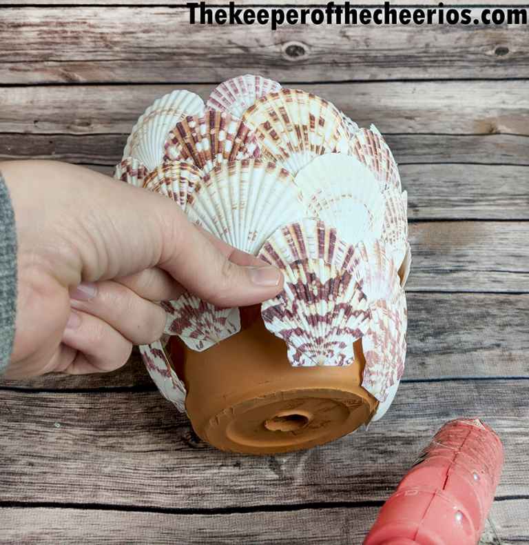 Seashell Terracotta Pots - The Keeper of the Cheerios