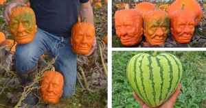You can now grow your own Frankenstein Pumpkins or Melons with these ...
