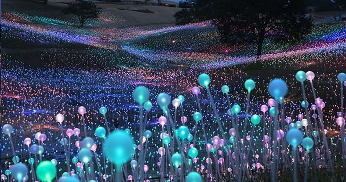 You Can Now Go See The Field Of Lights Art Display In California And ...